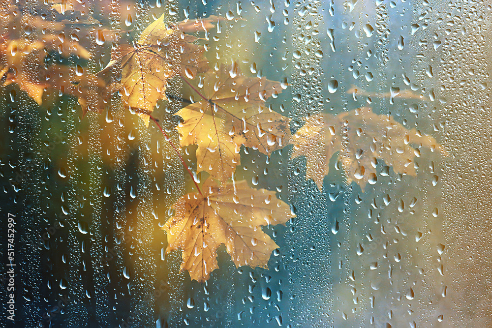 abstract autumn background rain leaves wallpaper park Stock Photo ...
