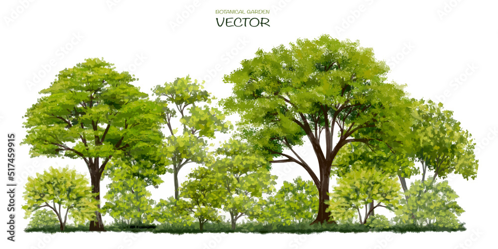 Vector watercolor of tree side view isolated on white background for ...