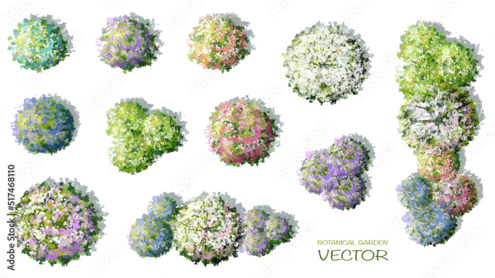 Vector watercolor of blooming tree top view isolated on white ...