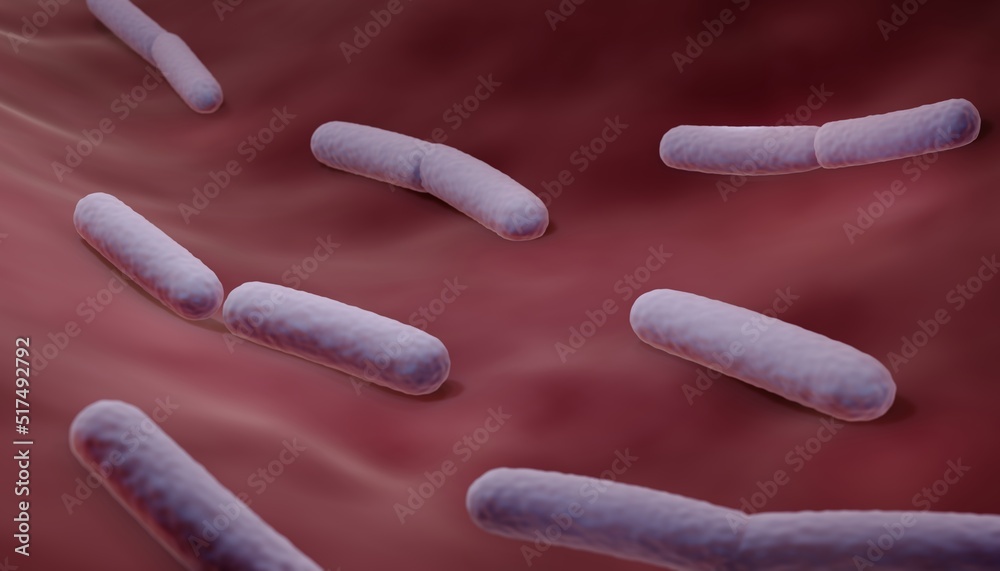 Photo & Art Print Probiotic Lactobacillus bacteria in human body, Artur