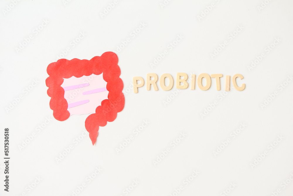 probiotic word wood with intestine shape paper, various nutritional ...