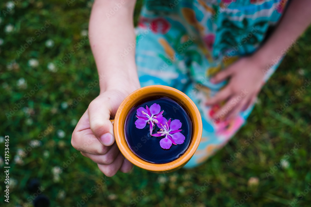 Ivan tea or chai. Herbal tea from fireweed flowers in a cup on natural ...