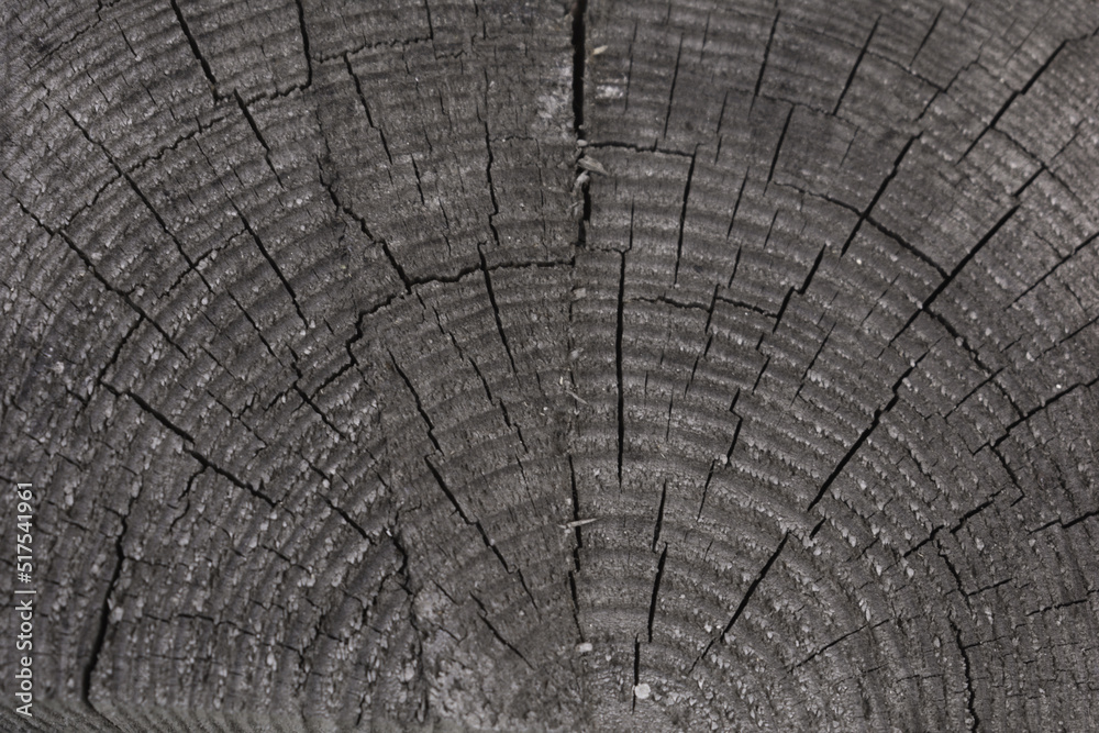 cut wood texture Stock Photo | Adobe Stock