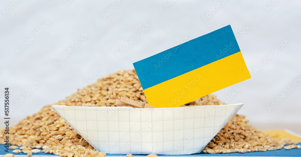 paper boat with Ukrainian flag, grain wheat and spikelets on a blue ...
