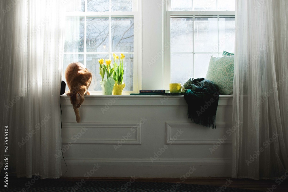 reading window Stock Photo | Adobe Stock