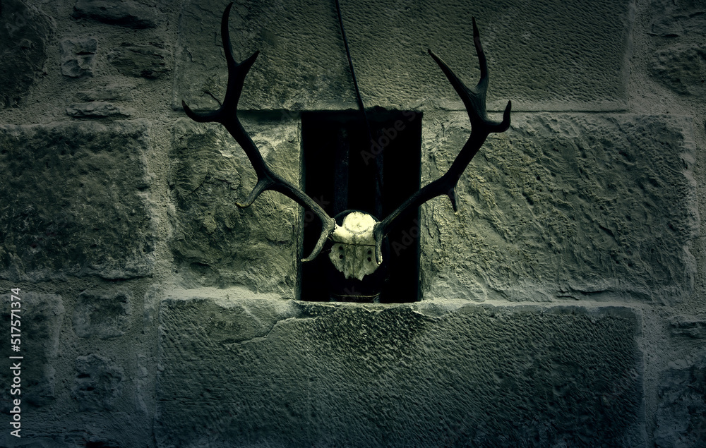 Satanic goat skull Stock Photo | Adobe Stock