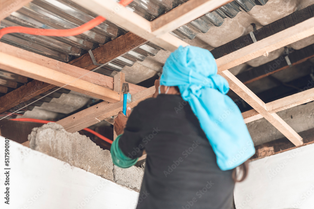 A carpenter using a hammer to nail a purlin to a rafter. Roof ceiling ...
