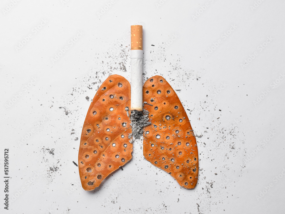 Organs Damaged From Smoking