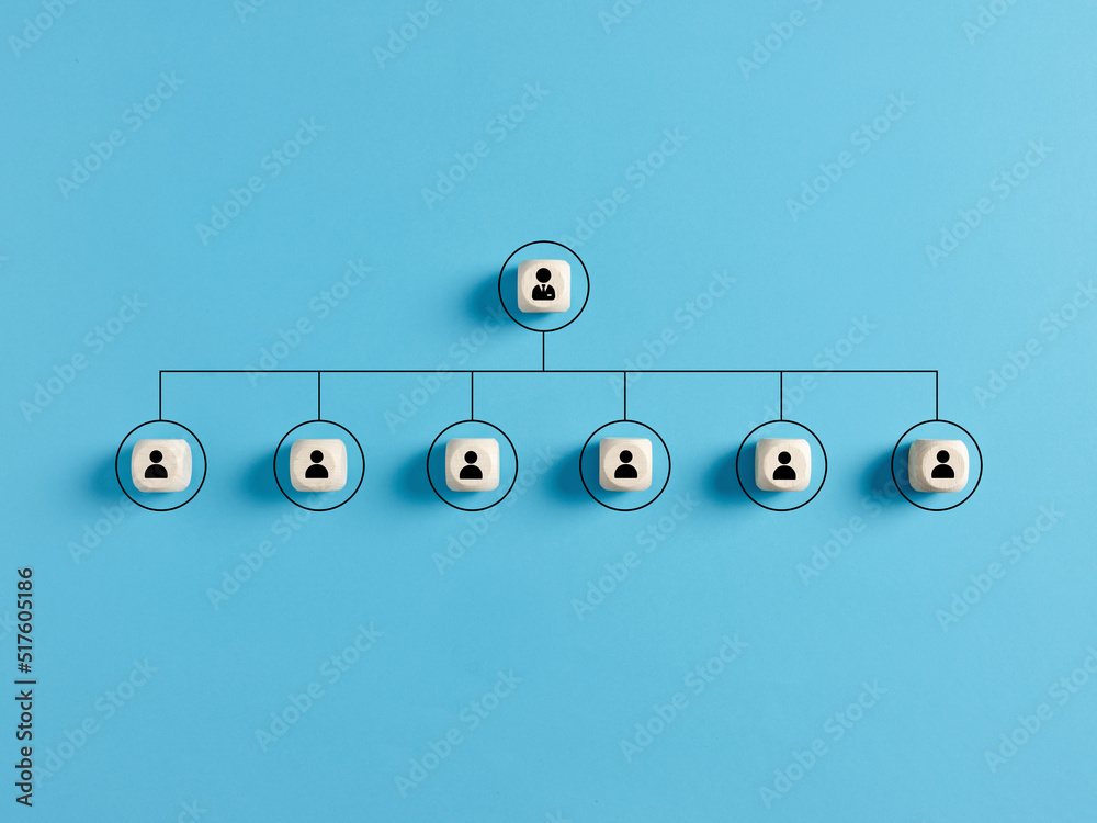 Company hierarchical organizational chart of wooden cubes on blue ...