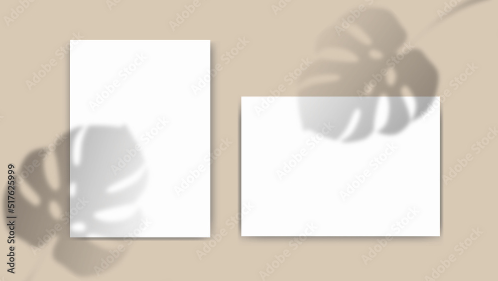 A4 paper mockup with overlay leaf shadow from window. Tropical monstera ...