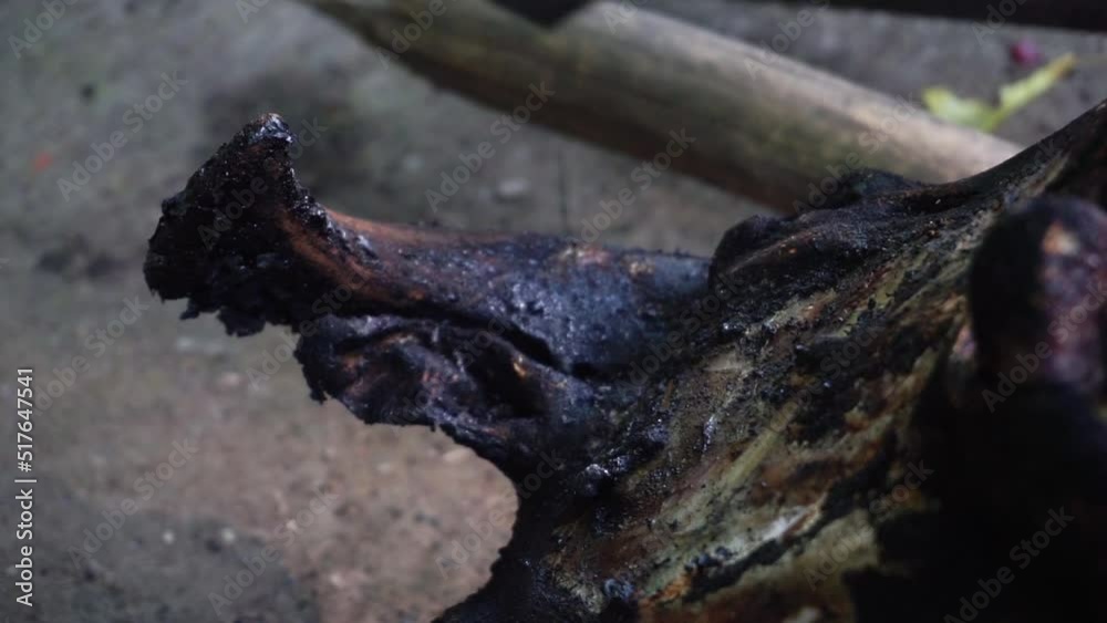 the goat's head cleaned from process burn. Eid al-Adha celebration in ...