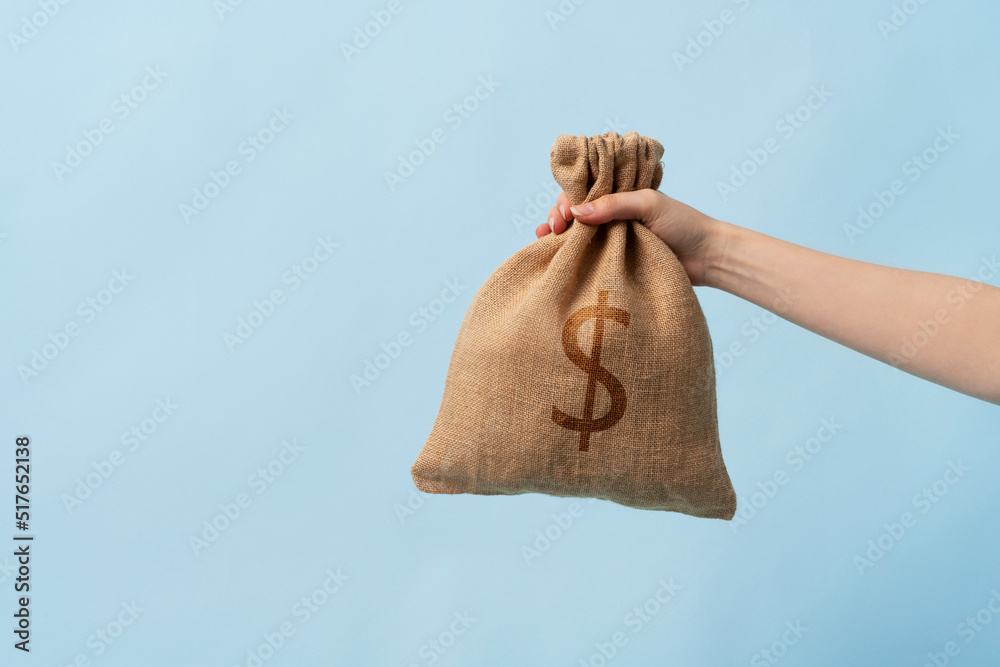 Full of cash dollar money bag on the blue background. Economic growth ...