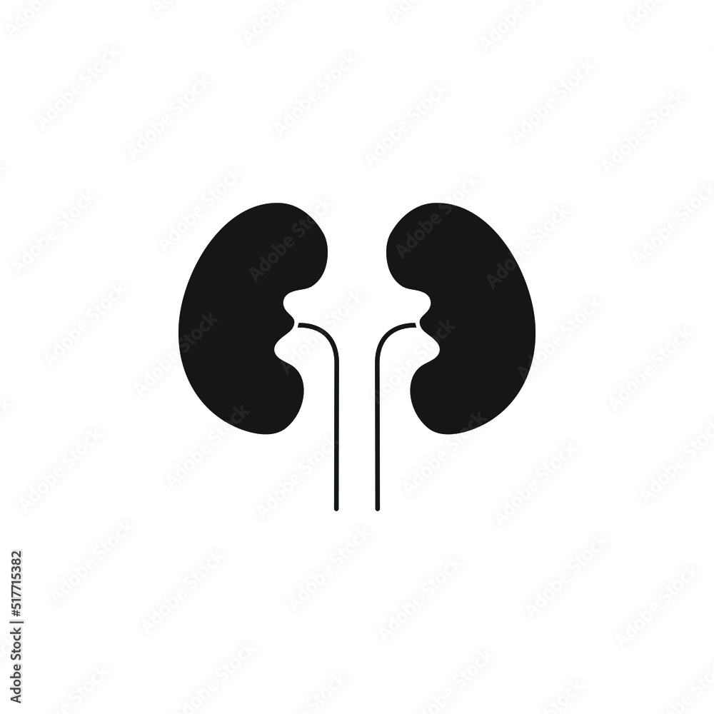 kidney vector for website symbol icon presentation Stock Vector | Adobe ...