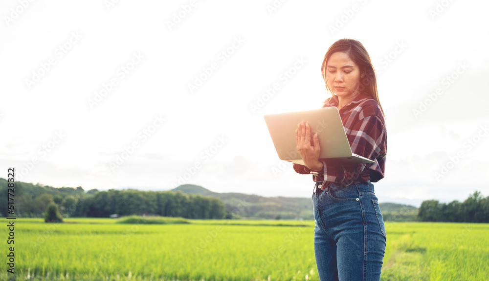 Female farmer using tablet at close range to collect data at the rice ...