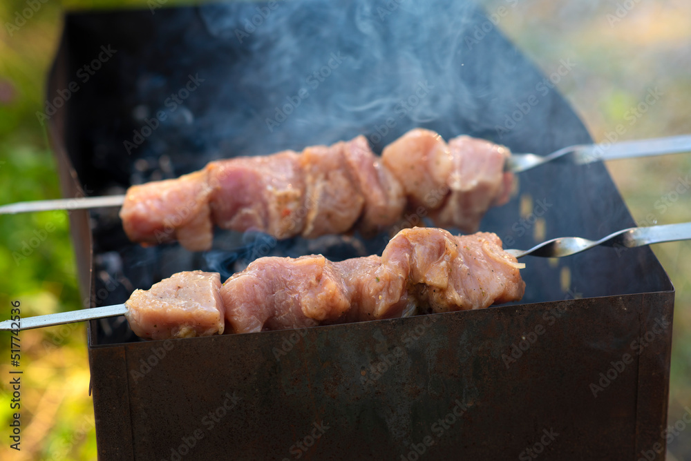 traditional Russian food in nature - barbecue, fried chicken, pork ...