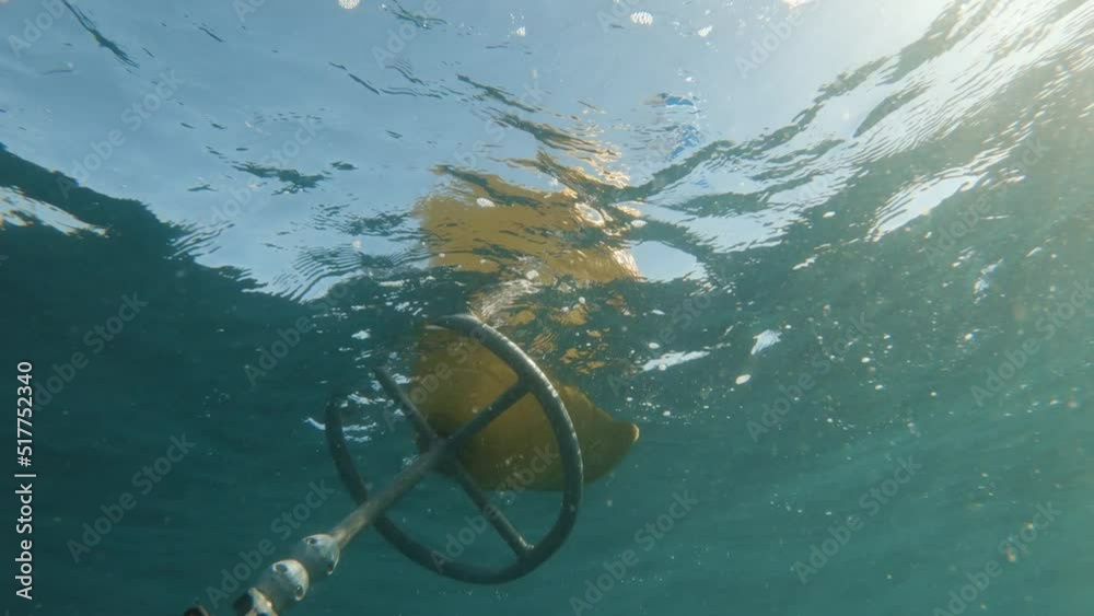 Scuba divers view ascending from below the water next to a dive flag ...