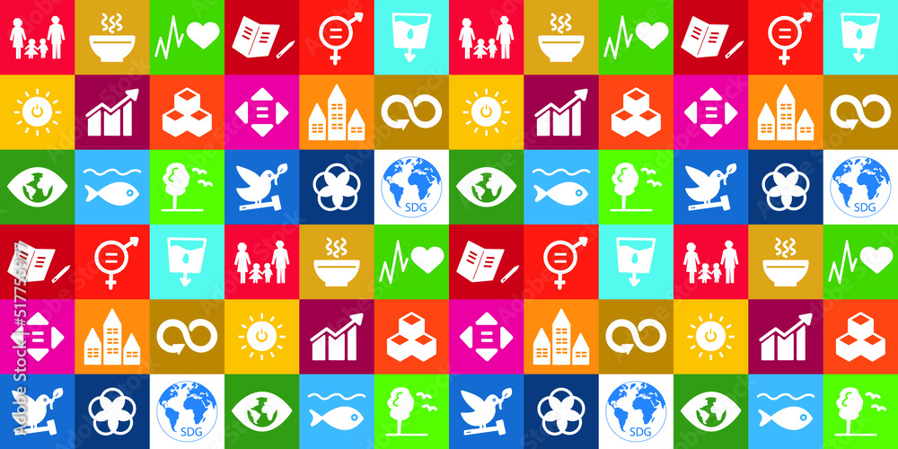 Sustainable Development Goals set by the United Nations General ...