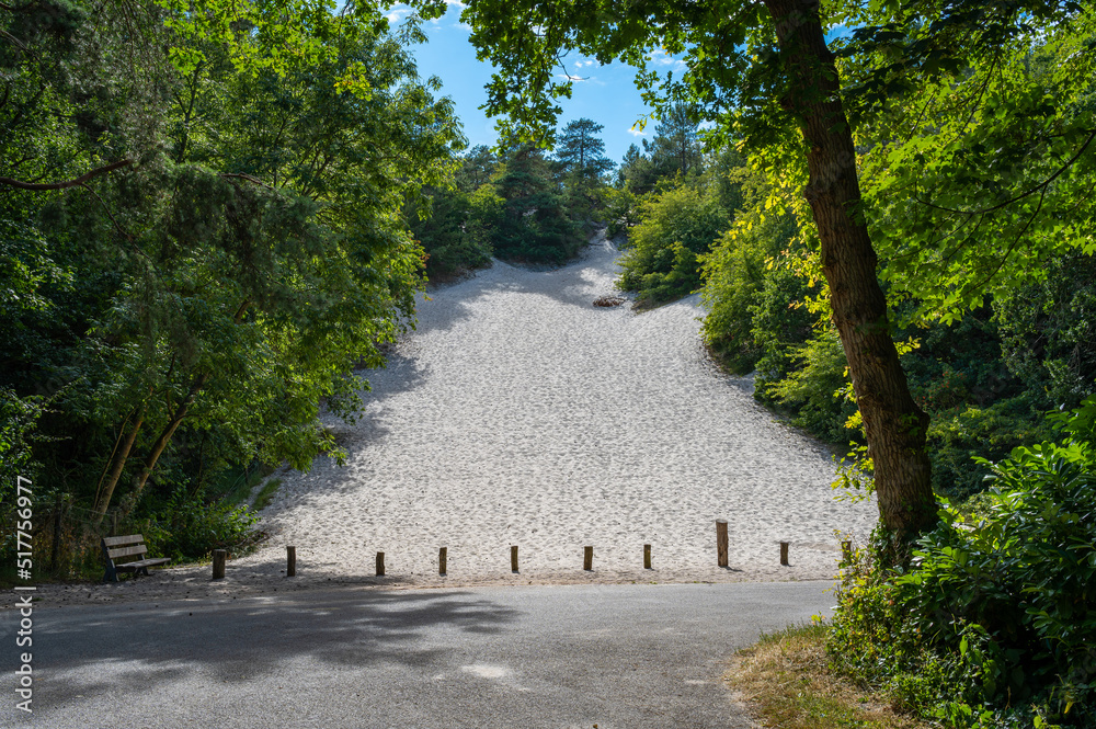 Steep sand dune in dutch village of Schoorl, which is known for the ...