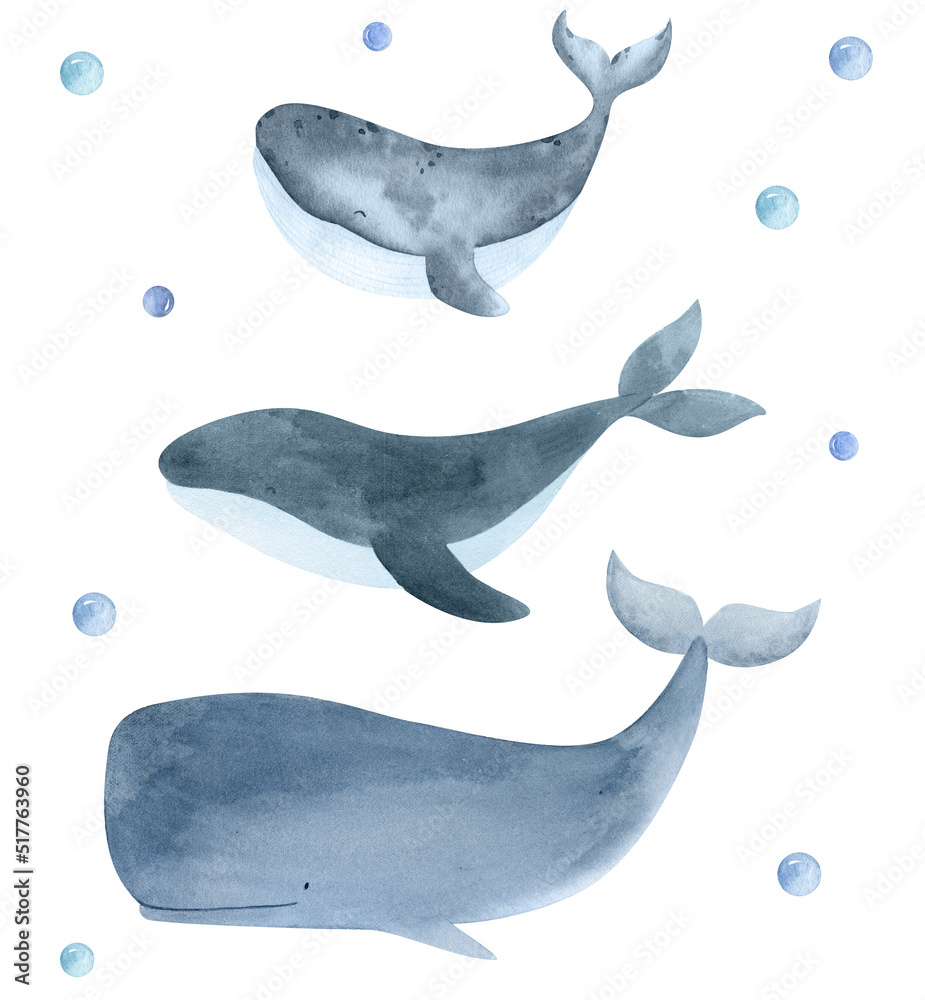 Watercolor whale illustration. Cute baby animal underwater graphics ...