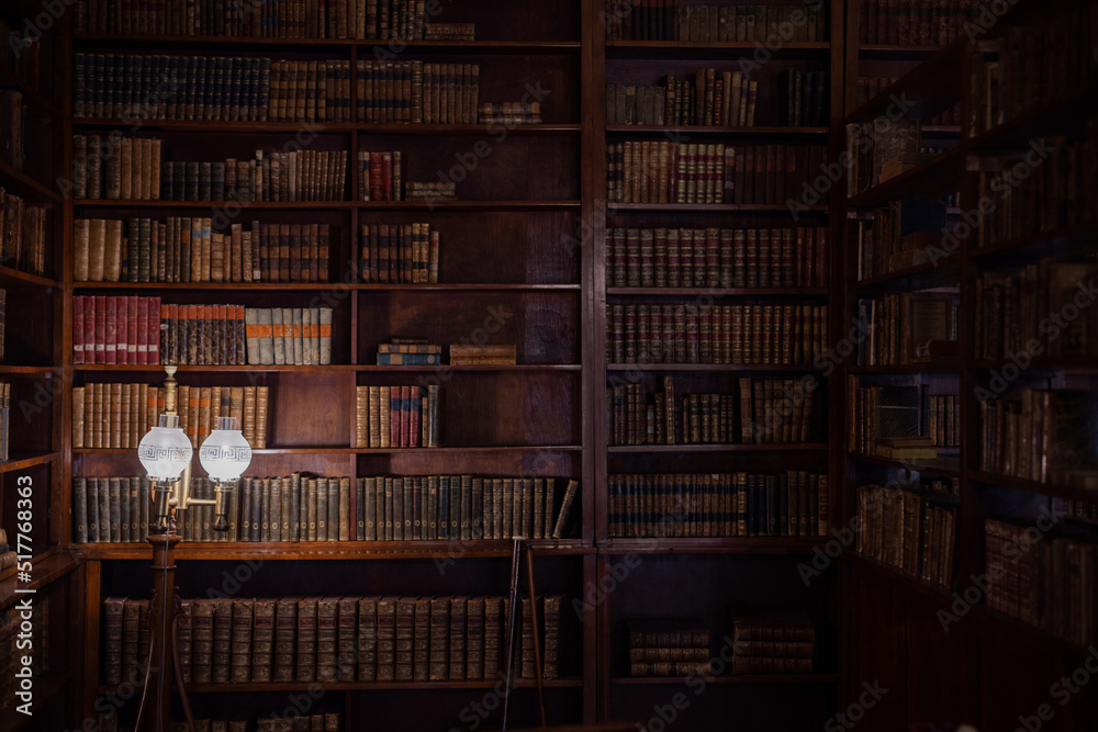 vintage library background, bookcase and shelves with old books, antique shop Stock Photo ...