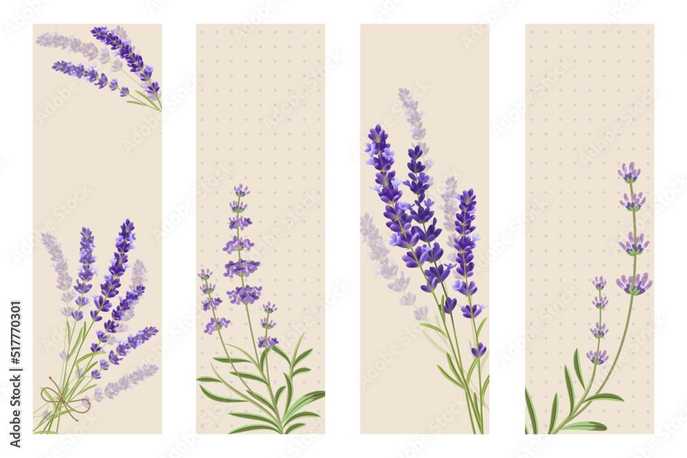 Vector Illustration. Set of bookmarks decorated with botanical art ...