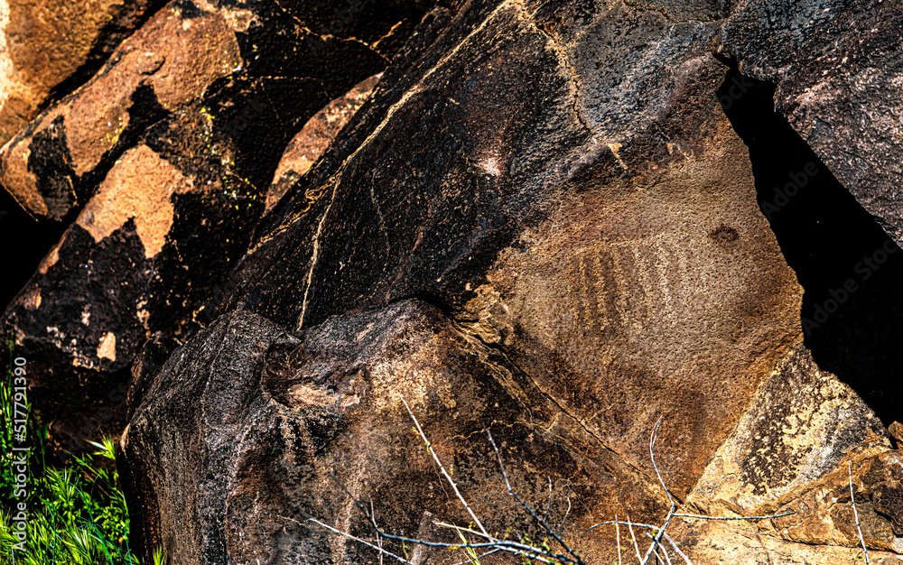 Big deer rock art site at Perry Mesa in the Aqua Fria prehistoric area ...