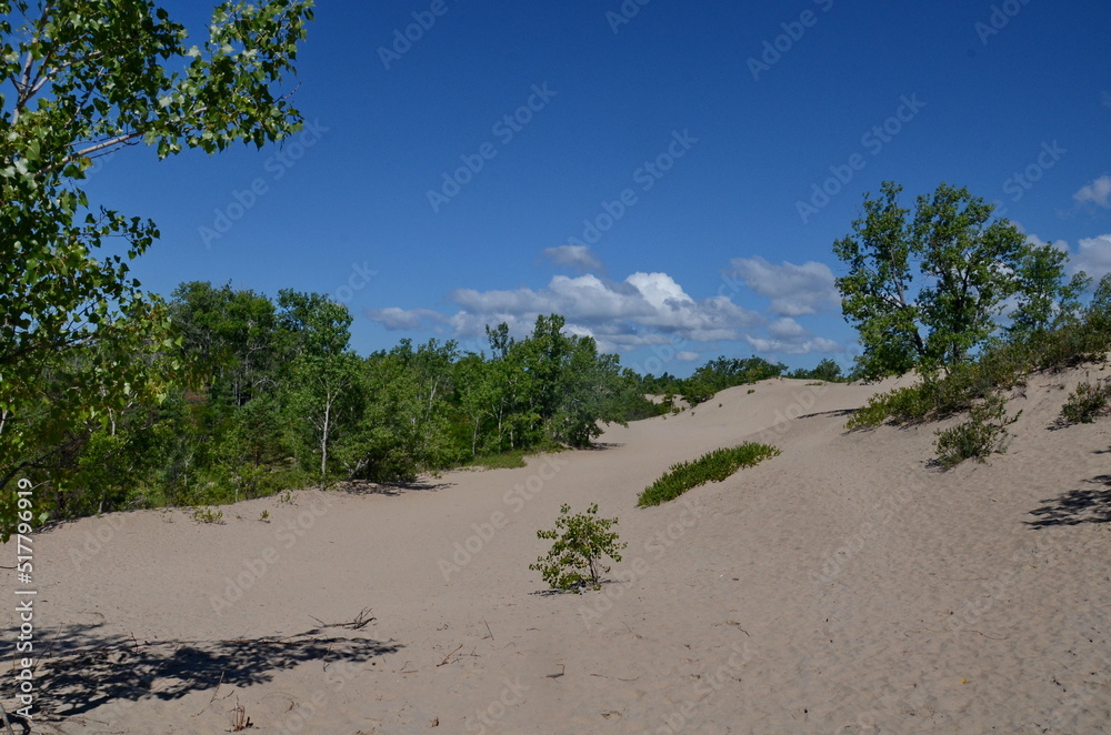 Dunes Beach sand dunes at Sandbanks Provincial Park in Ontario, Canada ...