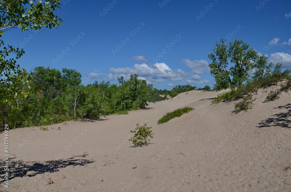 Dunes Beach sand dunes at Sandbanks Provincial Park in Ontario, Canada ...