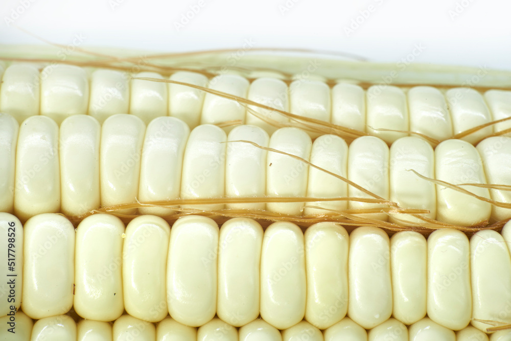 grano de elote blanco foto de Stock | Adobe Stock