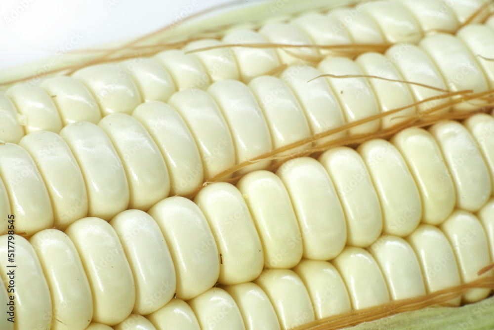 grano de elote blanco foto de Stock | Adobe Stock