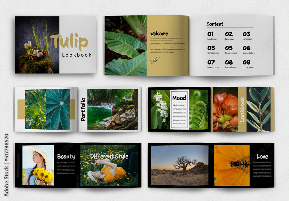 Look Book Cover Layout Design Stock Template | Adobe Stock