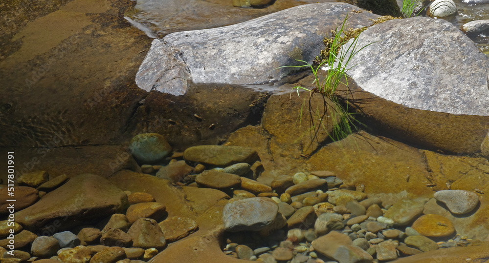 Clarity - A clear river bottom is revealed as the water backs up behind ...