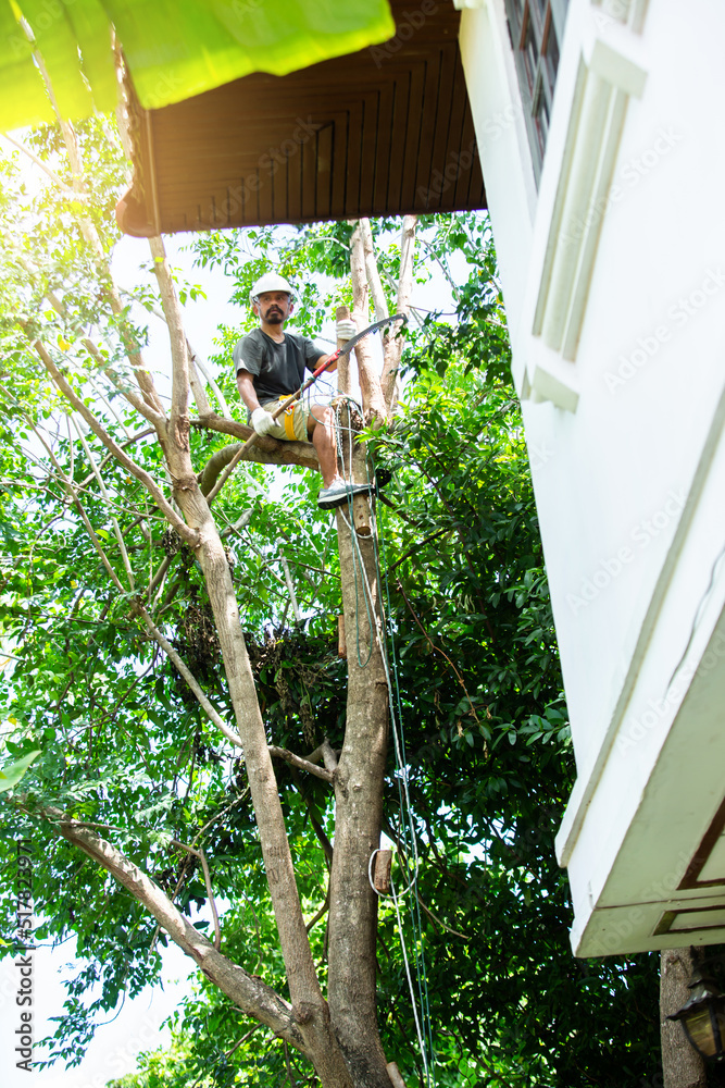 Asian worker is Wear protective equipment from falling from heights and ...