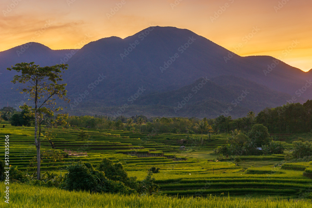 panorama of the natural beauty of asia. wide view of green and terraced ...
