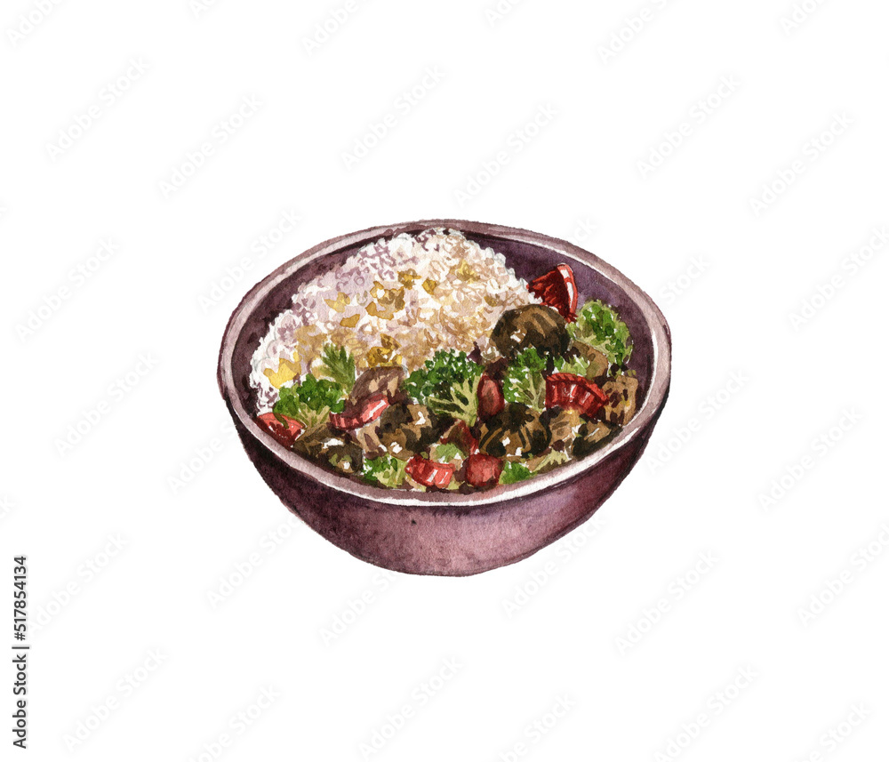 watercolor drawing bowl with rice,beef and vegetables, plate of asian ...