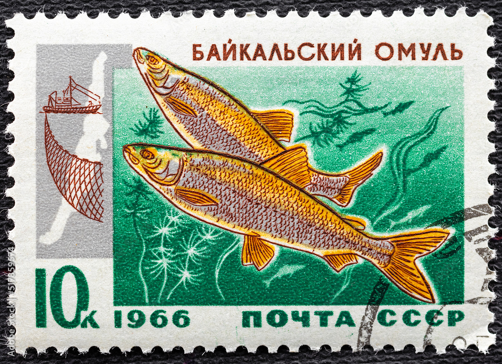 USSR - CIRCA 1966: Postage stamp issued in the Soviet Union with the ...