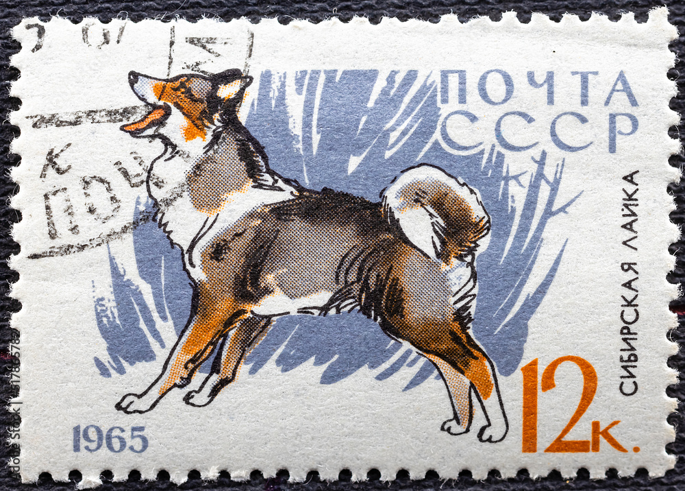 USSR - CIRCA 1965: a postage stamp, printed in USSR, shows a East ...