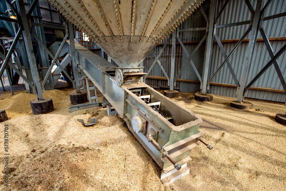 Loading process of wheat grain in elevator granary warehouse. Agro ...