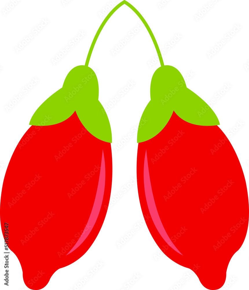 wolf berry Vector illustration. fruit image or clip art. Stock Vector ...