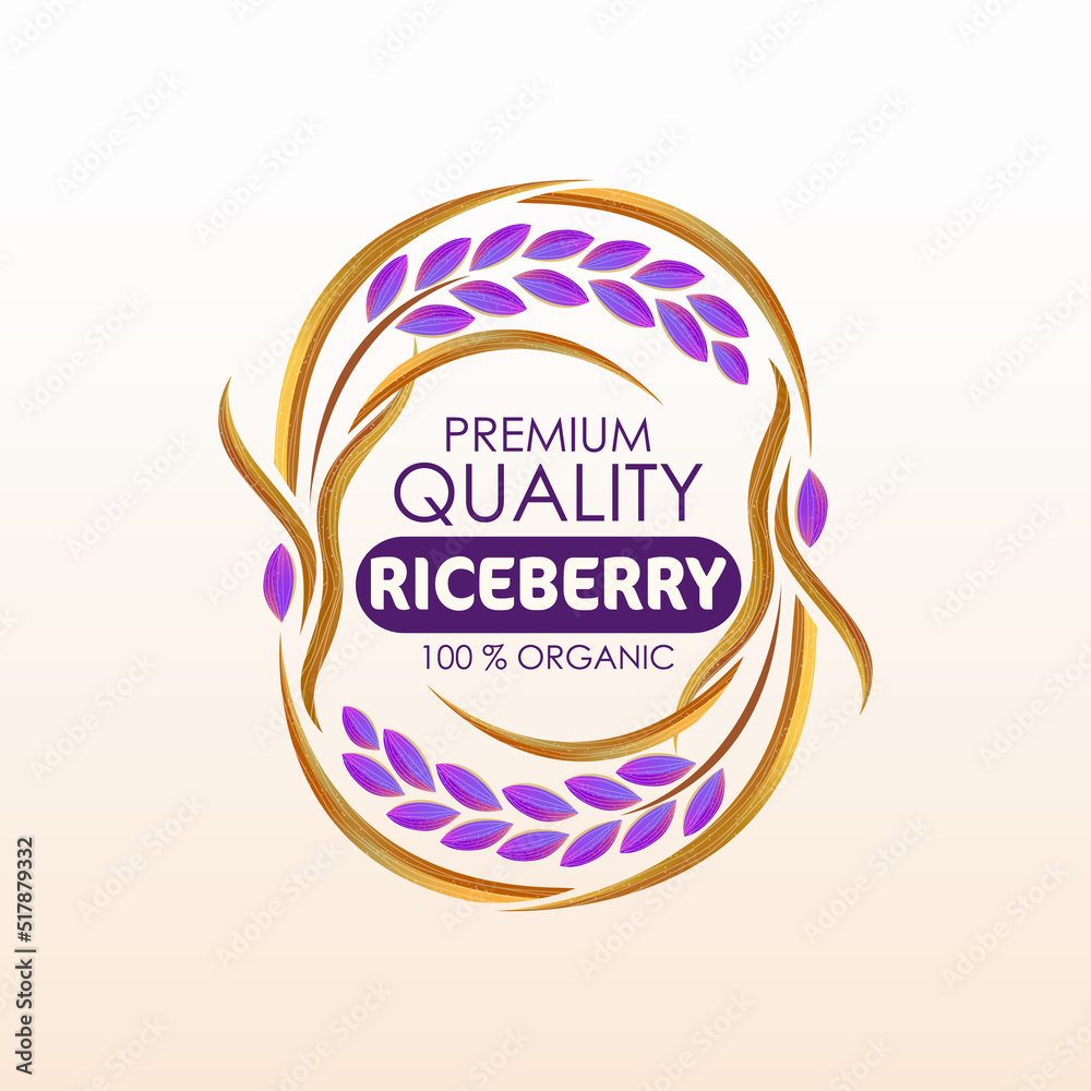 organic paddy rice, ear of paddy, ears of Thai riceberry rice isolated ...