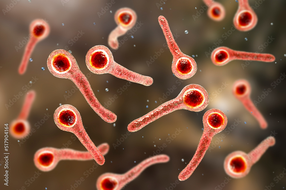 Clostridium tetani bacteria Stock Illustration | Adobe Stock
