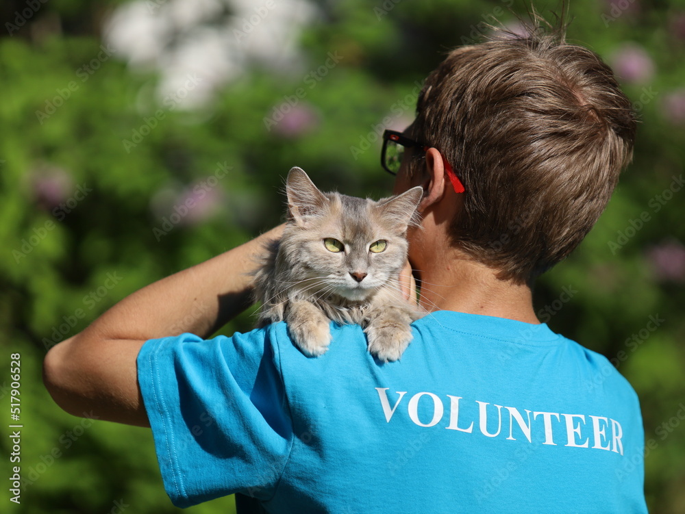 Volunteer and homeless cat. Charity concept Stock Photo | Adobe Stock