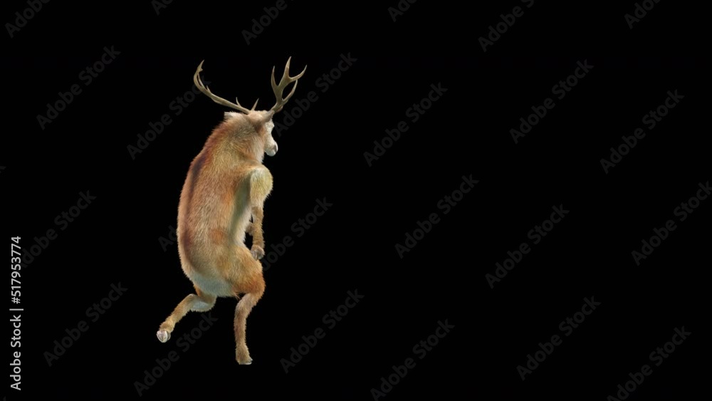 Deer Dancing CG fur 3d rendering animal realistic CGI VFX Animation ...