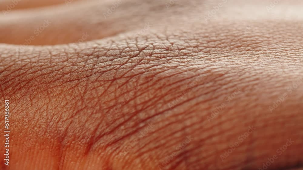Black skin texture close-up. Native African American woman, hand ...