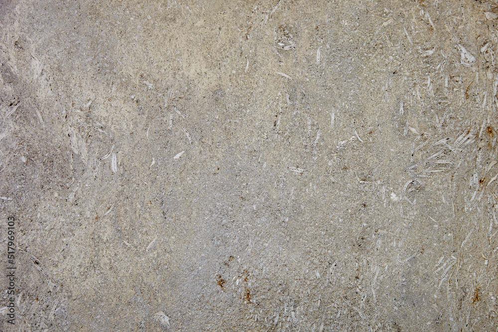This is a light limestone slab with traces of shells. Shell rock ...