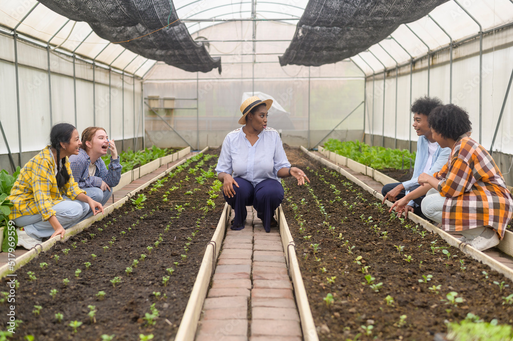 Group of mixed race students and teacher learning agriculture technology in smart farming ...