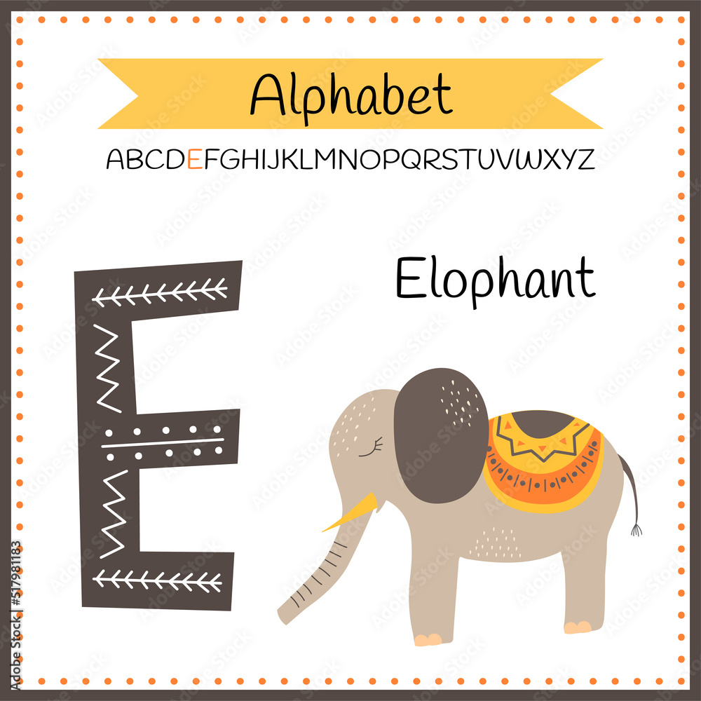 Cute children ABC animal alphabet E flashcard of Elephant for kids ...