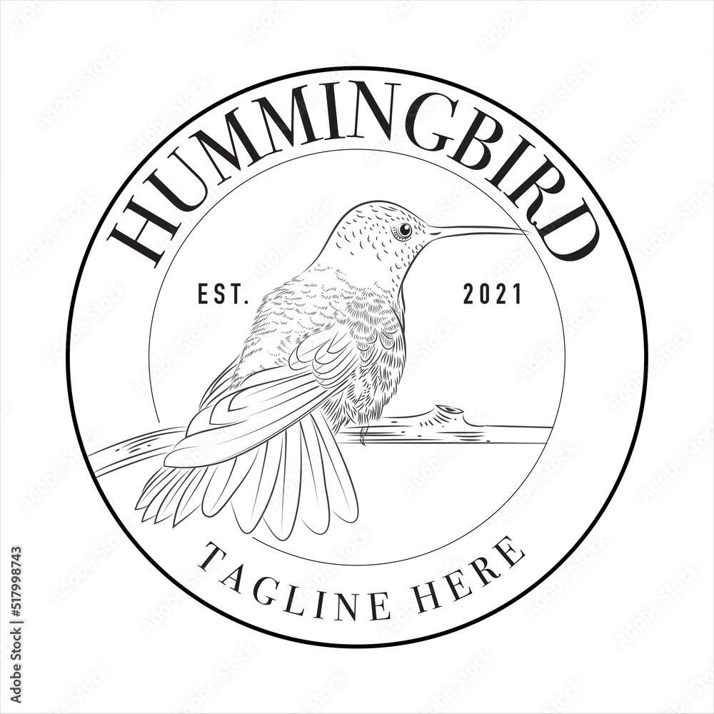 Hummingbird logo, company logo design idea, vector illustration Stock ...