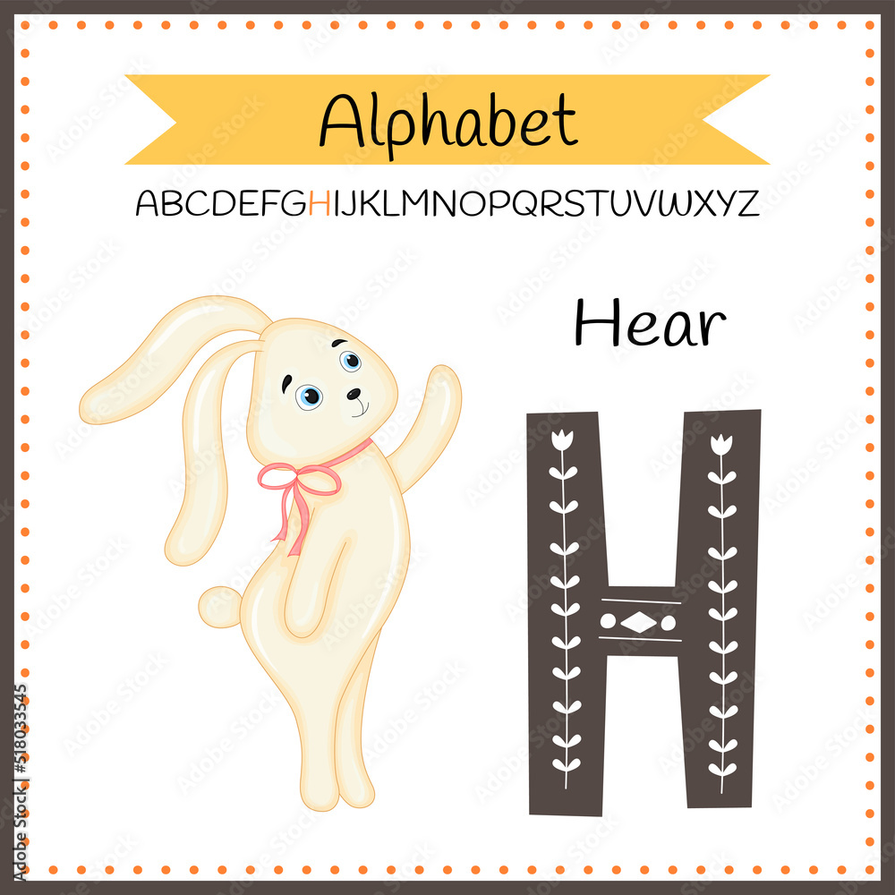 Cute children ABC animal zoo alphabet H letter flashcard of Hare for ...