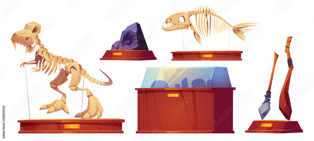 Historical museum exhibition set with dinosaur skeletons. Vector ...